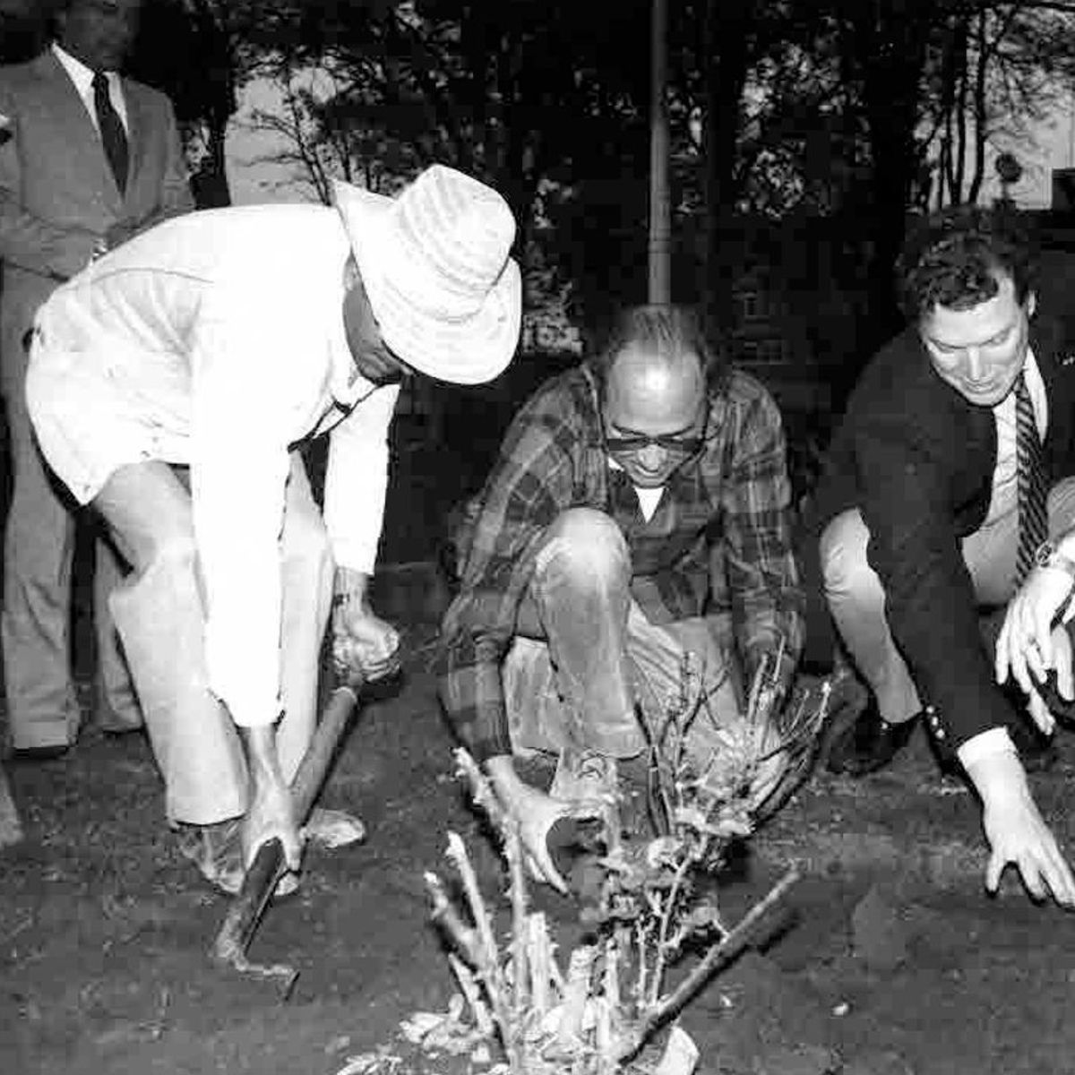 Exchanging Customs Cultures and Cartons of Care